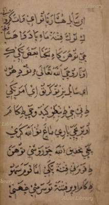 Alavi Bohras - Introduction - Language